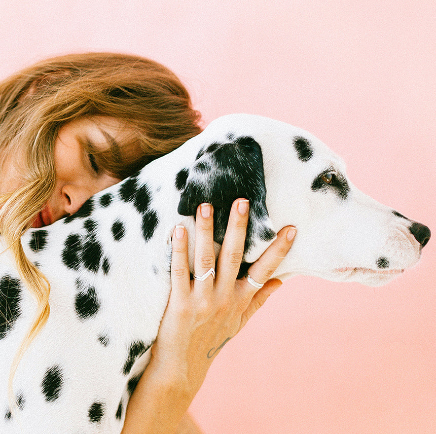 The best animal charities to support in 2021 – John Paul Pet Australia